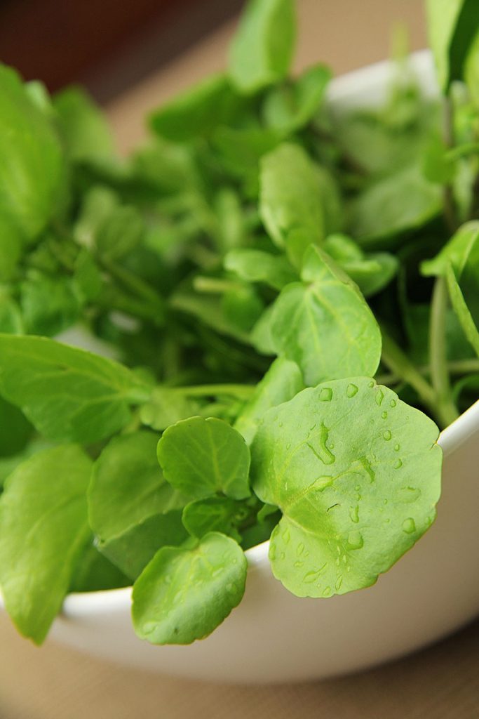 Watercress Soup Recipe - The Artisan Food Trail