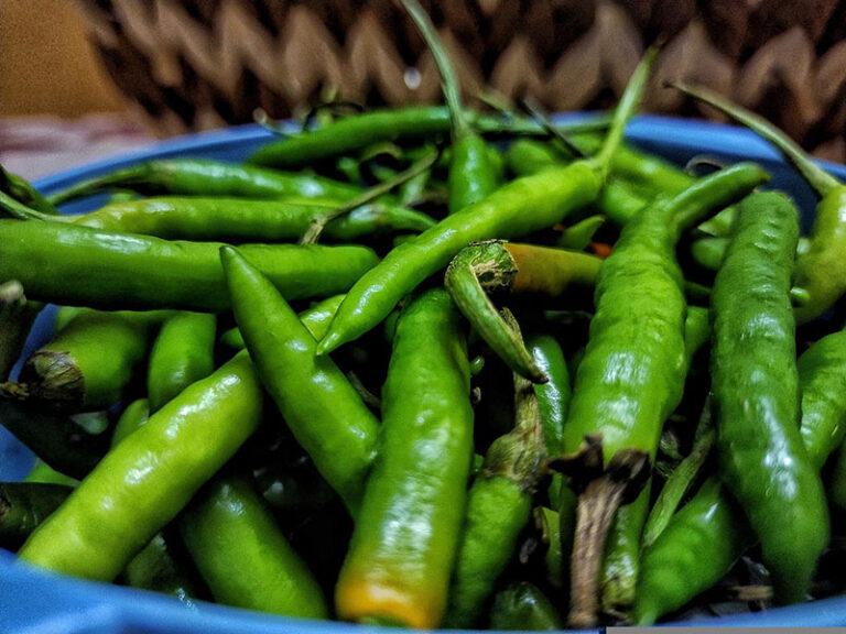 Fragrant Coconut Chicken with Mustard Seeds Recipe - Artisan Food Trail